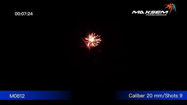 Батарея салютов "Ангел" 0,8" 9 выстр., 20 сек 
АРТ. M0812