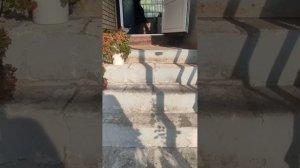 Продается дом в с. Ливенка. Все подробности по тел: 8-905-173-62-48