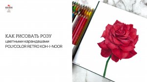Новый урок: бархатная роза, которую хочется трогать и долго рассматривать.