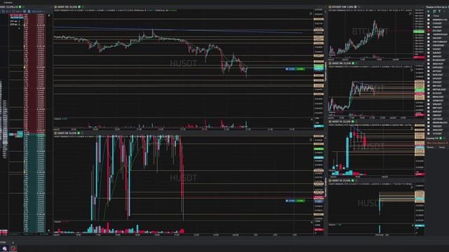 4-Husdt-Long-Profit-25-06-2025-21-24-39