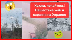 Нашествие жаб и саранчи на Украине