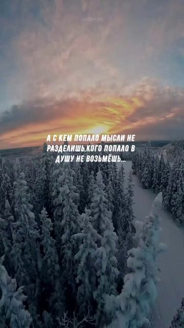 #903 Цитата дня. Мотивация.