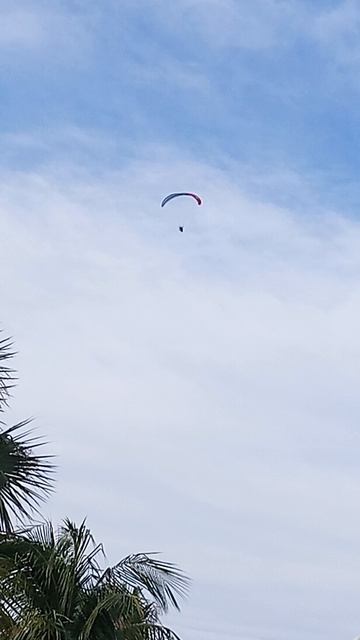 парашутиста поймали