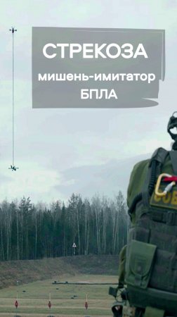 СТРЕКОЗА мишень-имитатор БПЛА