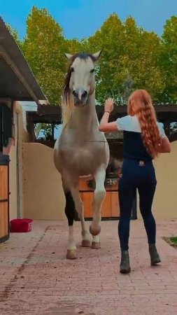 подпишись и поставь лайк💖