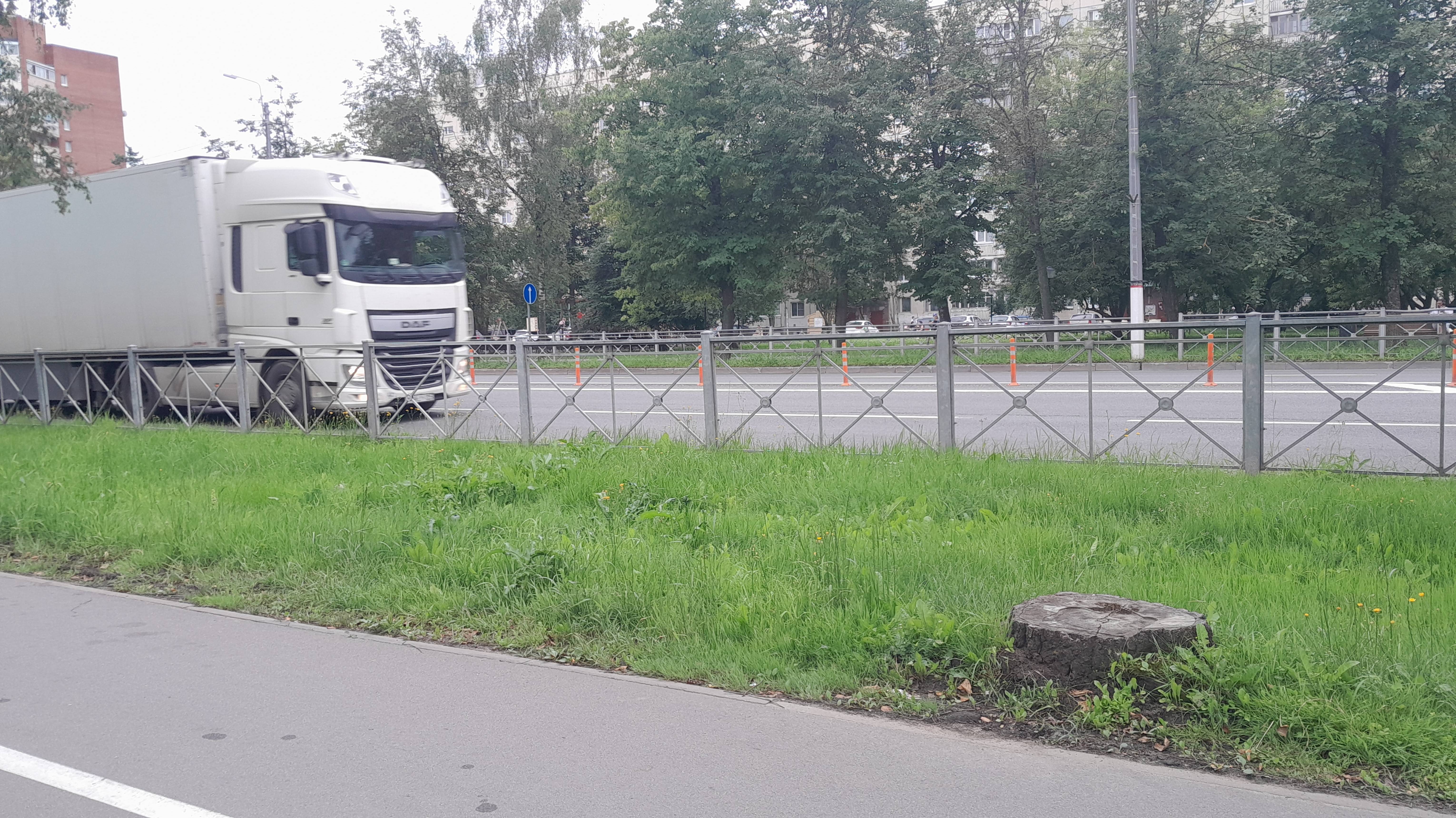 Новая симфония - №299 Ирины Одарчук Паули 2025