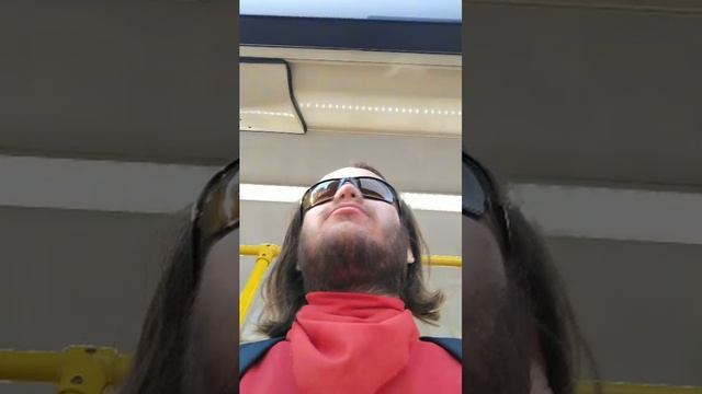 Мы идём гулять с собакой! | 24-июл-2025, 2