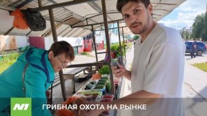 Грибная охота телеканал N1 на рынке. Нижневартовск