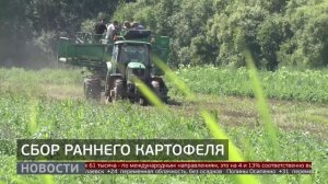 Картофель: виды на урожай. Новости. 24/07/2025. GuberniaTV