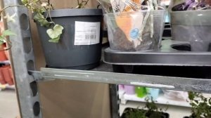 Приглашаю на прогулку 😍 Ашан и Лемана ПРО г. Волгоград 🤗❤️
