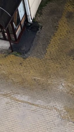 СМОТРЮ НА ДОЖДЬ И МЕДИТИРУЮ
