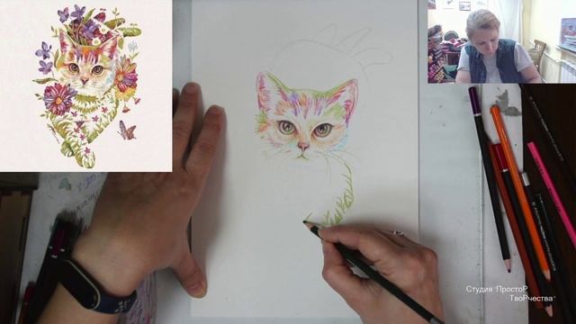 Котик в цветах карандашами полностью
