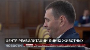 Не только для тигров: центр реабилитации животных появится в крае. Новости. 24/07/2025. GuberniaTV