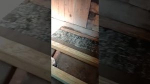 Братья стелят новый пол в бане  04 07 2025