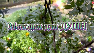 Музыка для души, весеннее настроение, мелодия для вашего отдыха