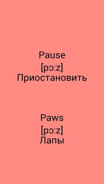 В чём разница !?!?!? WTD (What's the difference)!?!?!? PAUSE vs PAWS