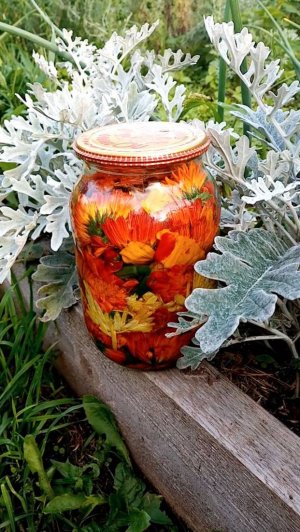 Обязательно ПРИГОТОВЬ настойку для кур.