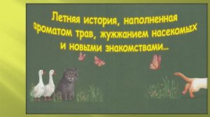 Замечательные каникулы