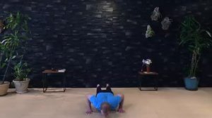 20-Min Qi Gong Exercise Routine - Easy Home Workout with Lee Holden