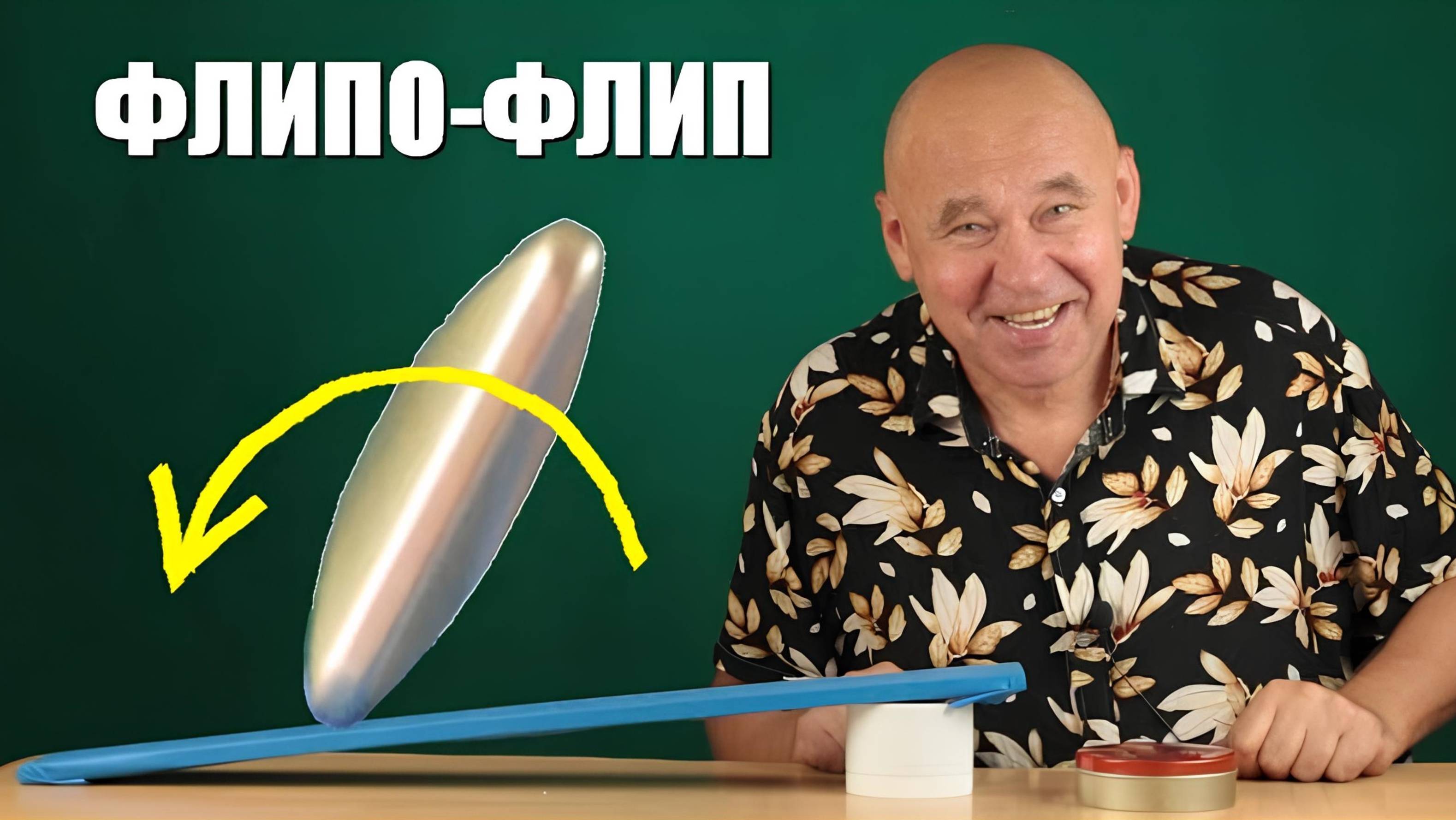 Флипо-флип