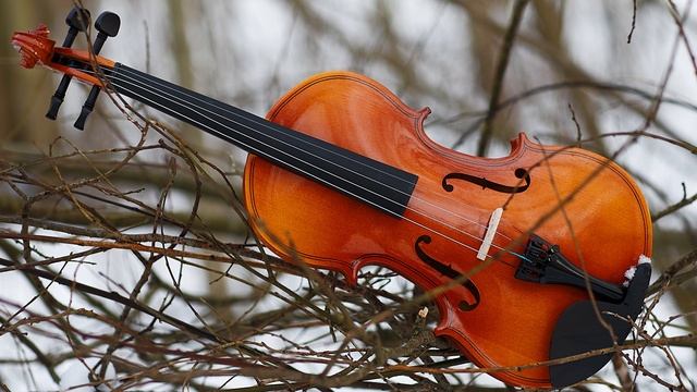 Скрипка музыка. Современная скрипка. Спокойная скрипка. Грустная скрипка. Классическая музыка