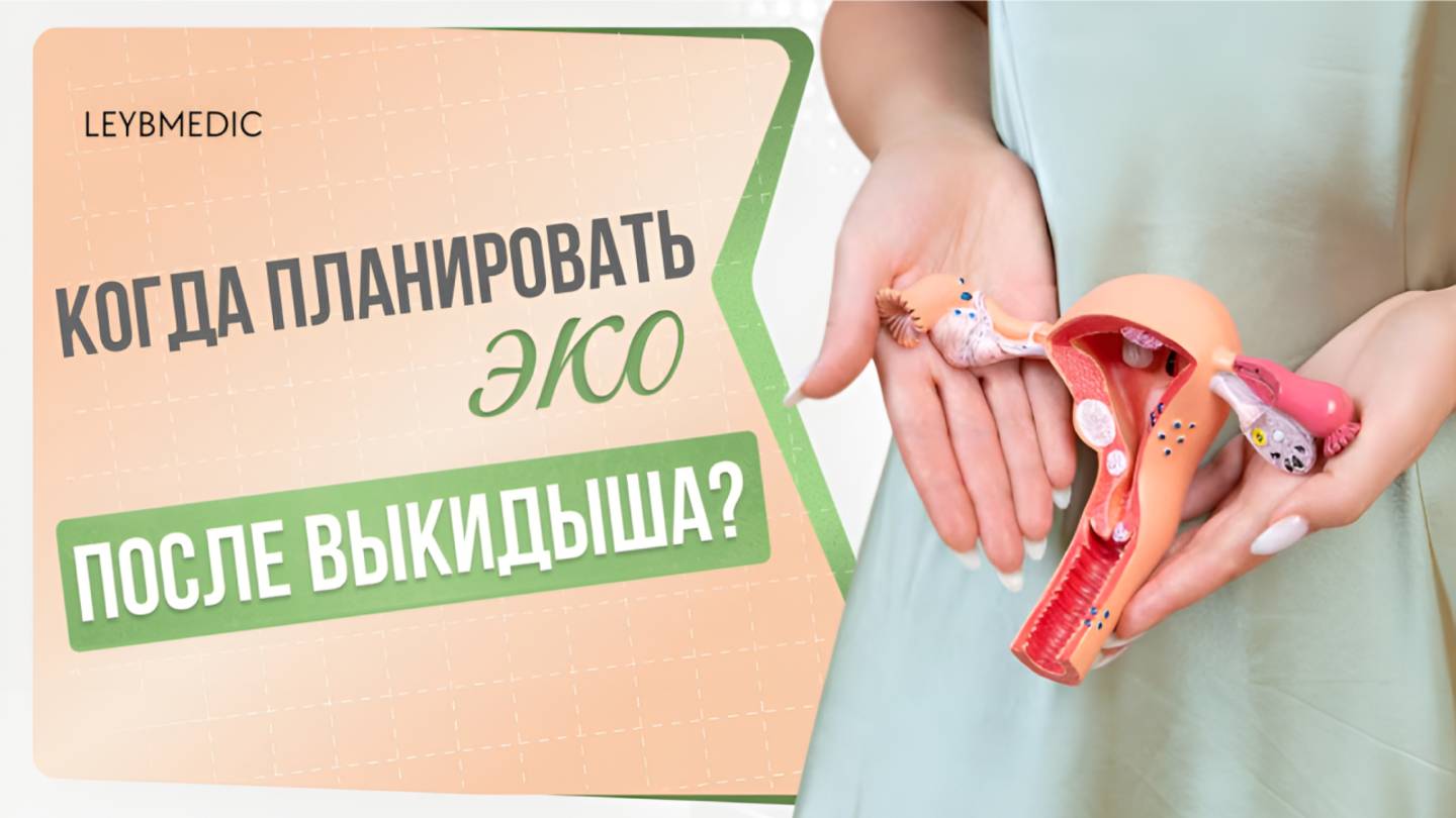 ❓❓ ЭКО после выкидыша: когда можно пробовать снова и что нужно сделать