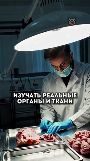 Направления в медицинском #умскул #школа #биология #медицинский #жаннаказанская #егэ #огэ