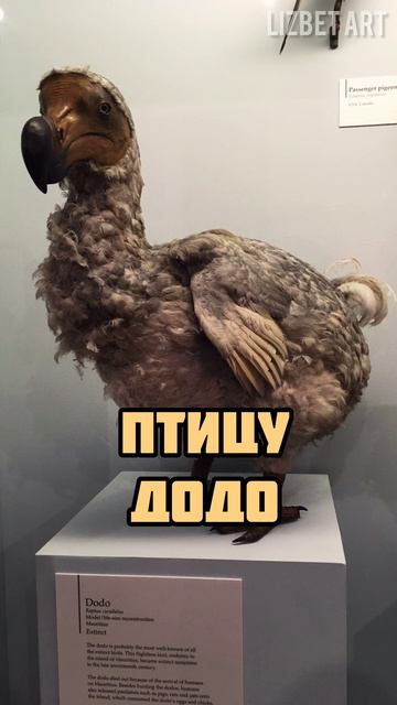 Рисую несуществующее животное 🐾 вымершие животные(ч.100) #tiktok #shorts #art #gouach