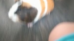VID_20250723_162743.mp4