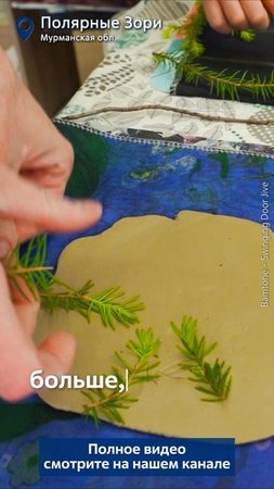 Наталия Моор из города Полярные Зори Мурманской области