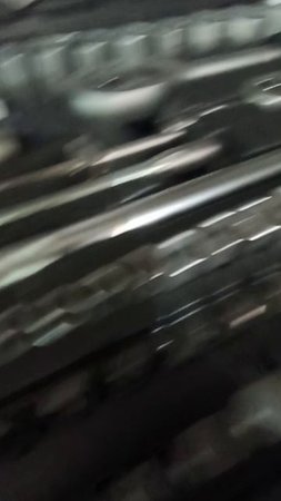1000005976.mp4