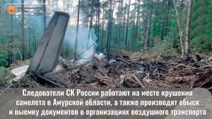 Следователи СК России работают на месте крушения самолета в Амурской области