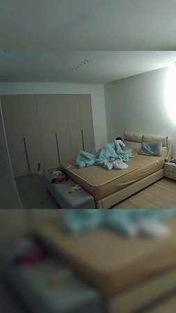 КАК ПРАВИЛЬНО ПРОВЕСТИ НОЧЬ: ИНСТРУКЦИЯ ДЛЯ КОТА