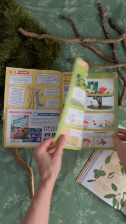 Что скрывает лес? 🌲 Узнай тайны леса с Классным журналом