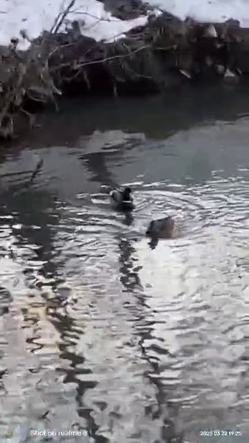 Прогулка ☺️