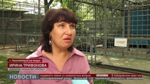 Зооцентр «Питон»: новоселье у медведиц. Новости. 24/07/2025. GuberniaTV