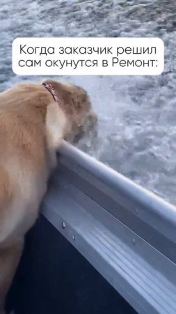 Вот это затянуло 🤪