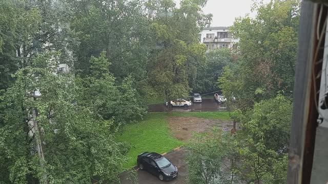 Перец на балконе и дождик за окном (24.07.2025)