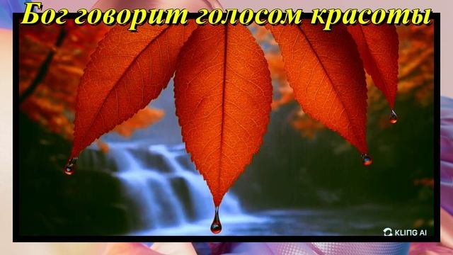 Бог говорит голосом красоты