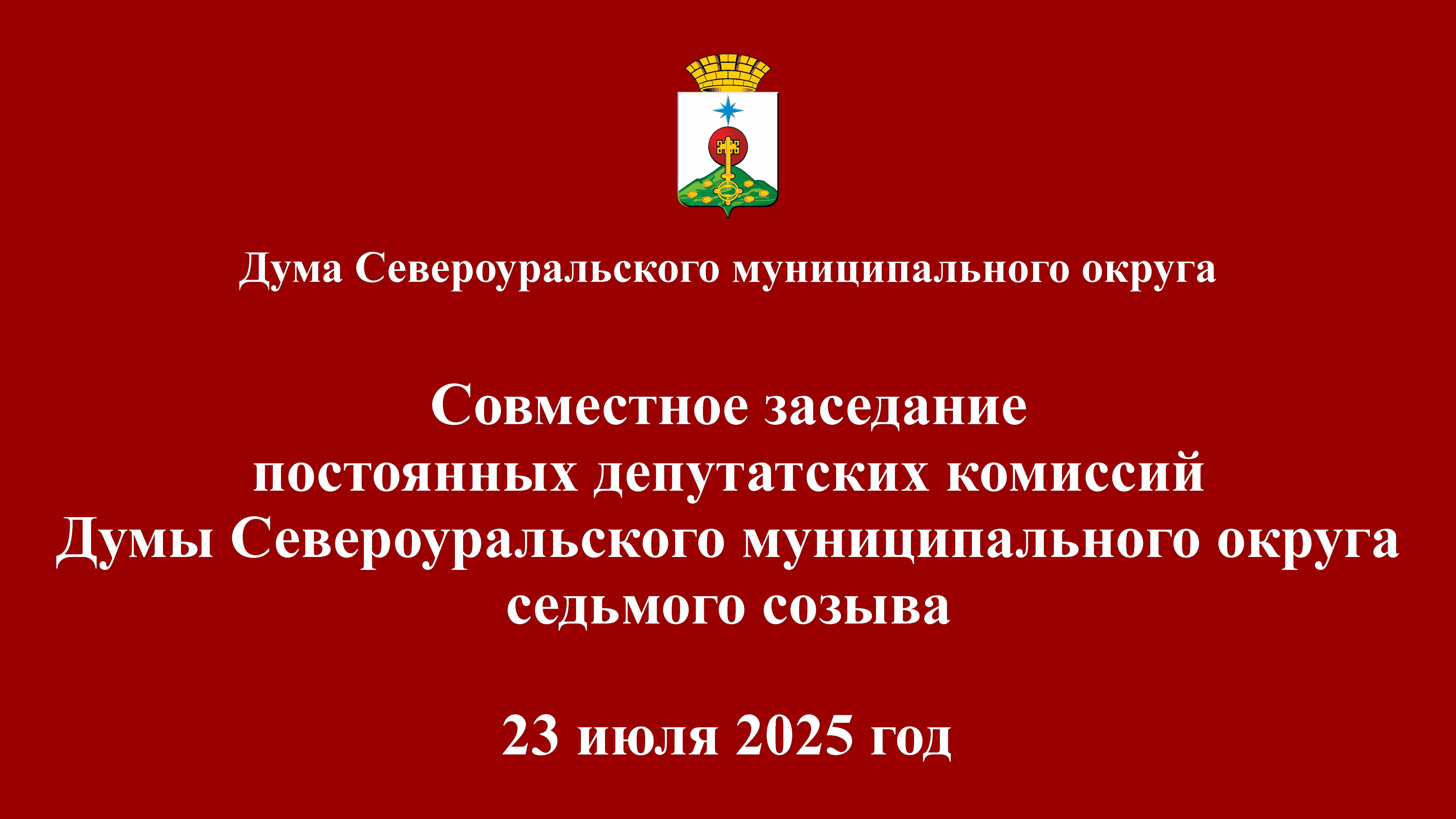 Совместное заседание постоянных депутатских комиссий ДСМО седьмого созыва 23 июля 2025 года