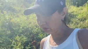 Заглянем в мир природы Горной Шории