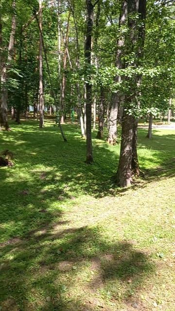 Кемпинг ″Бочка″ у озера Свитязь РБ