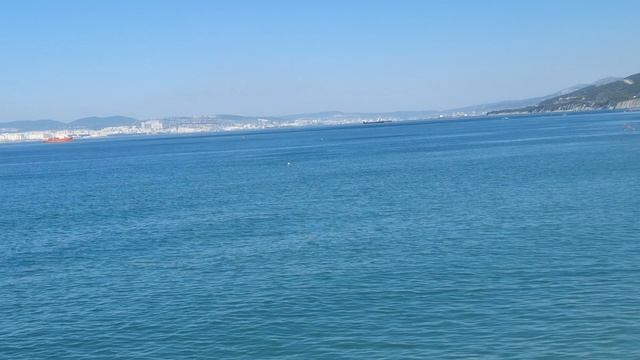 Дельфины приплыли с утра пораньше. Погодный обзор, Кабардинка
