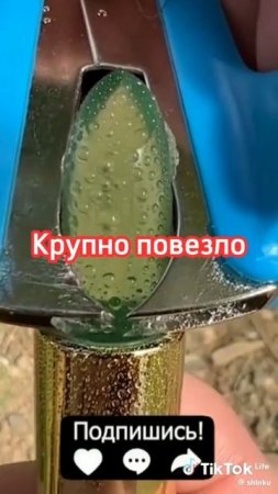 скорее скинь другу