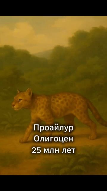 Эволюция кошки