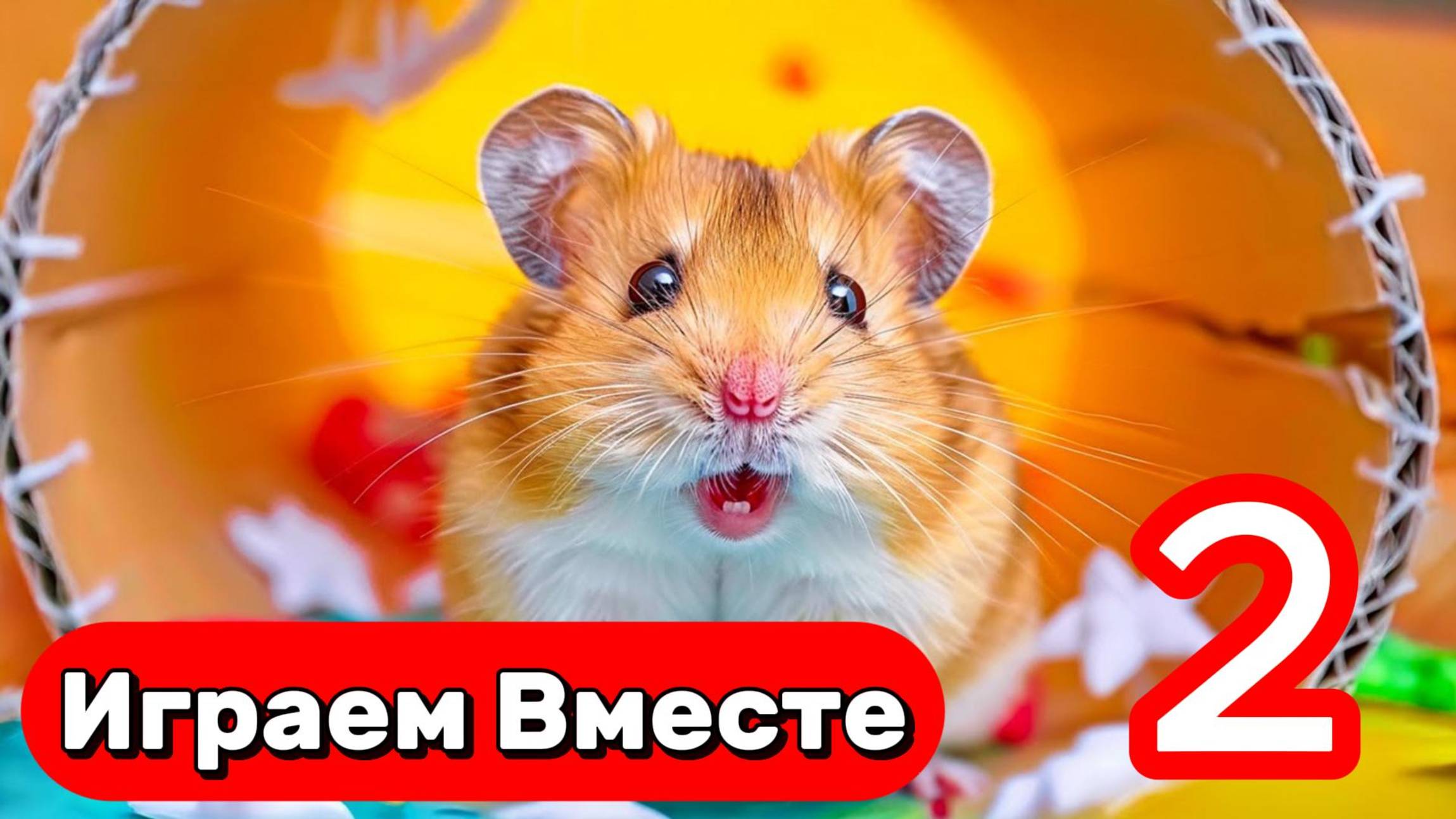 СУПЕР ЛАБИРИНТ С ЛОВУШКАМИ И ИГРУШКАМИ ИЗ МУЛЬТИКОВ ДЛЯ УМНОГО ХОМЯКА 🐹 ВИДЕО ДЛЯ ДЕТЕЙ №2