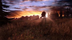 дейз  сервер [RU] [PVE] Land of the Dead