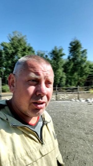Правда о ферме — грязь, шум и настоящие ощущения!