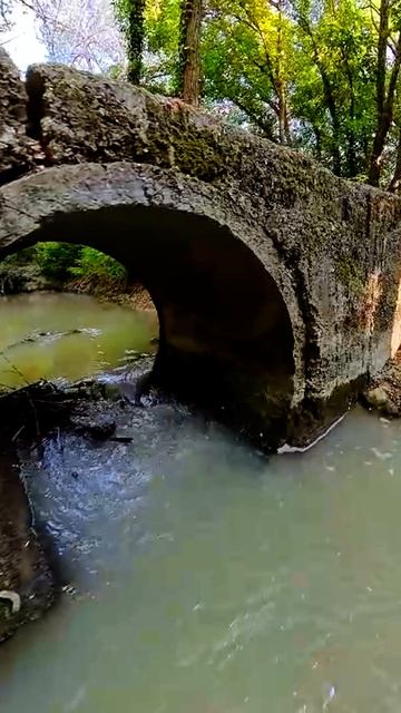 Вечное среди нас