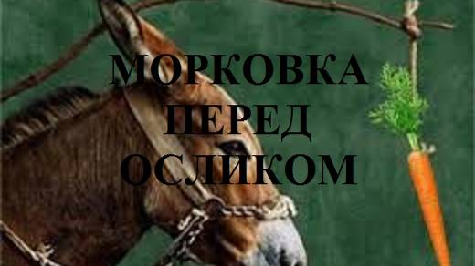 МОРКОВКА ПЕРЕД ОСЛИКОМ видео (из серии "ПРОДАЖИ И ПРОДАЖНЫЕ ЛЮДИ")